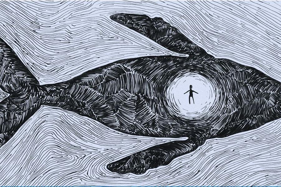 Nella pancia del pescecane