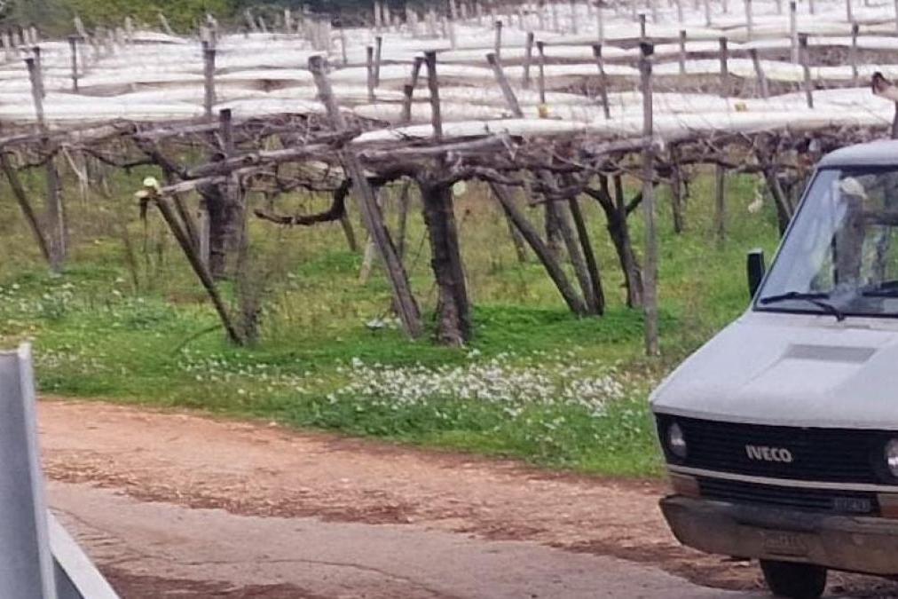 Conversano, morto operaio agricolo travolto dal suo automezzo